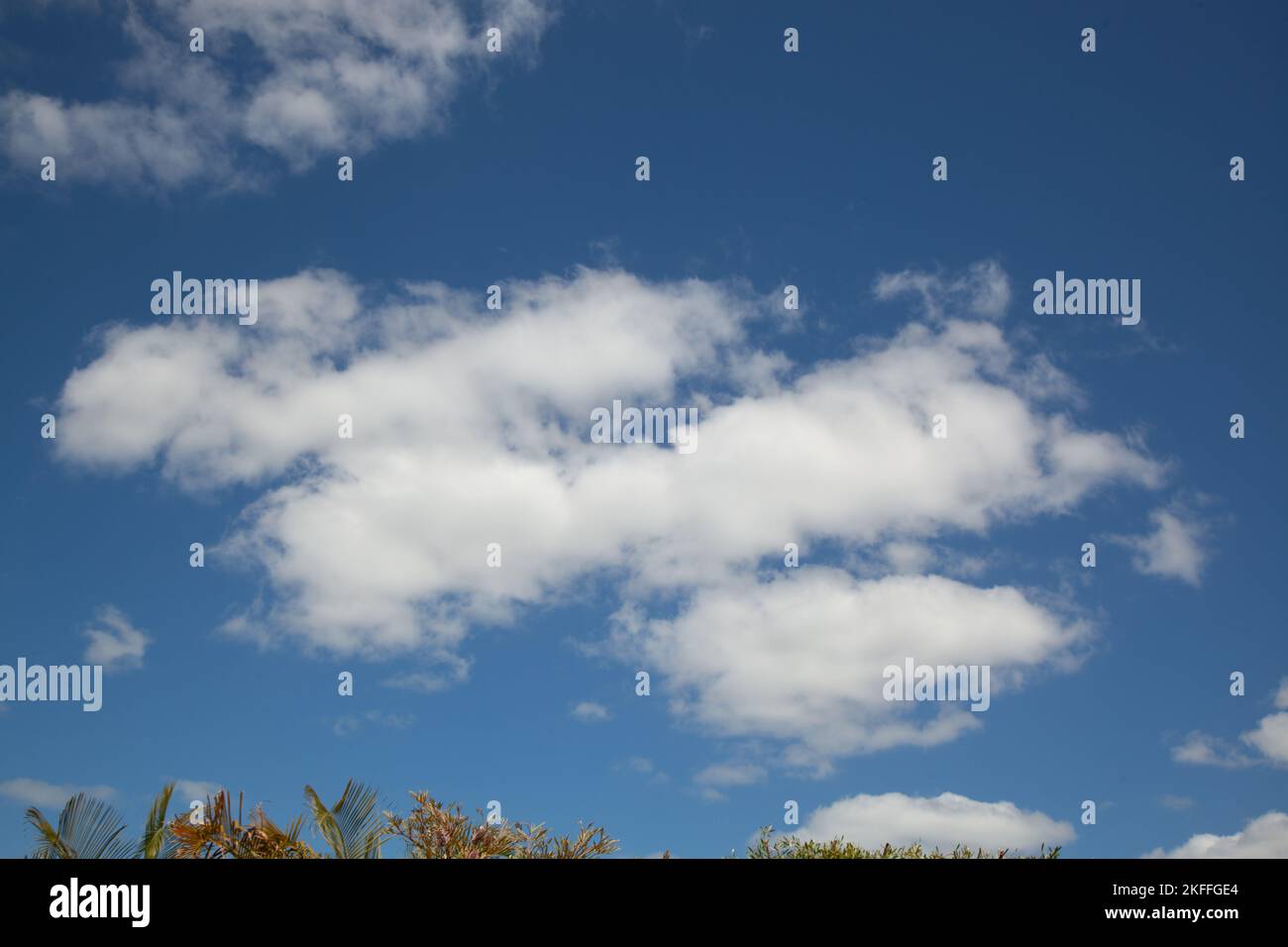 Ecosystem indicator hi-res stock photography and images - Alamy