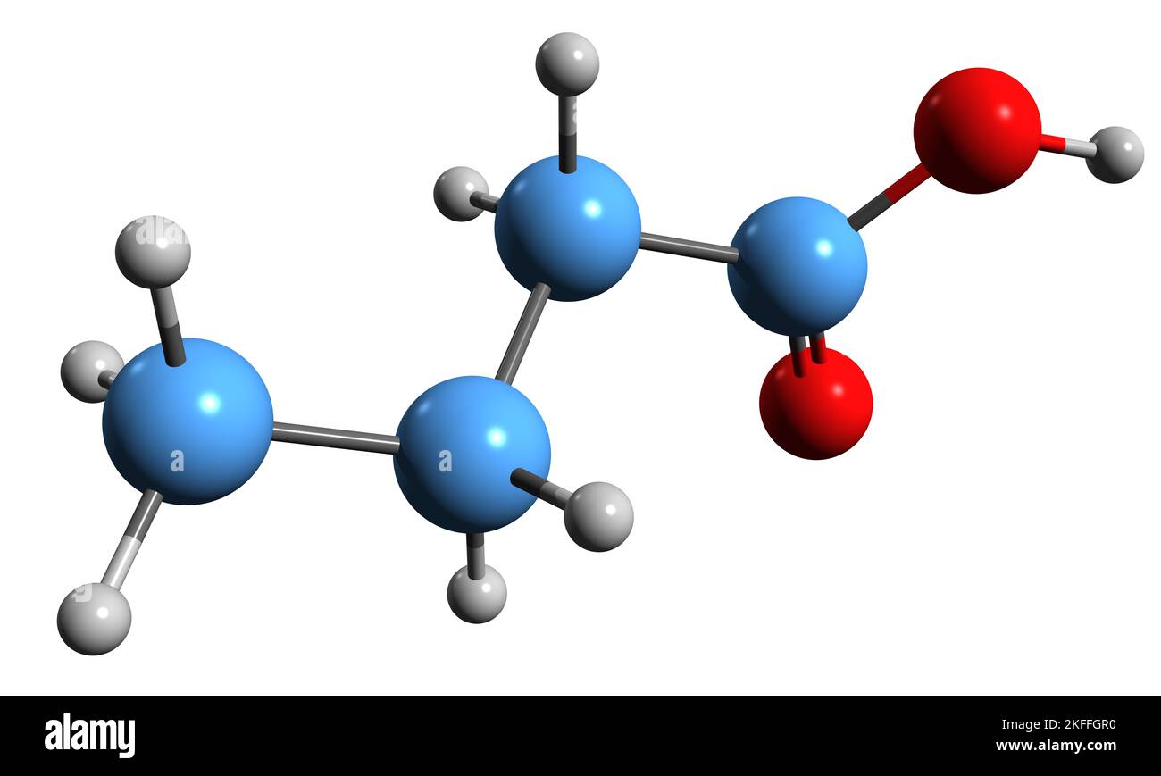 3d Image Of Butyric Acid Skeletal Formula Molecular Chemical Structure Of Butanoic Acid