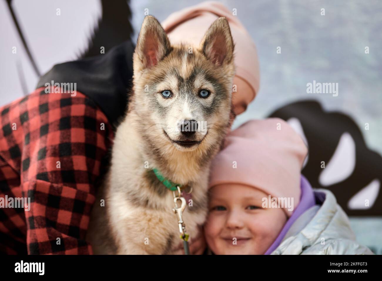Two little girls in pink hats hugs with Siberian Husky puppy dog, funny ...