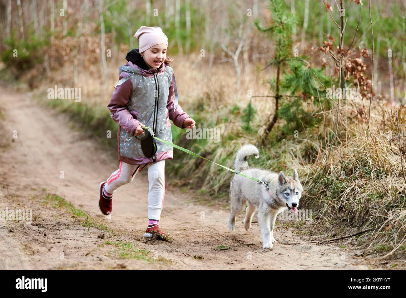 Girl walking on leash Siberian Husky puppy on country road at forest ...