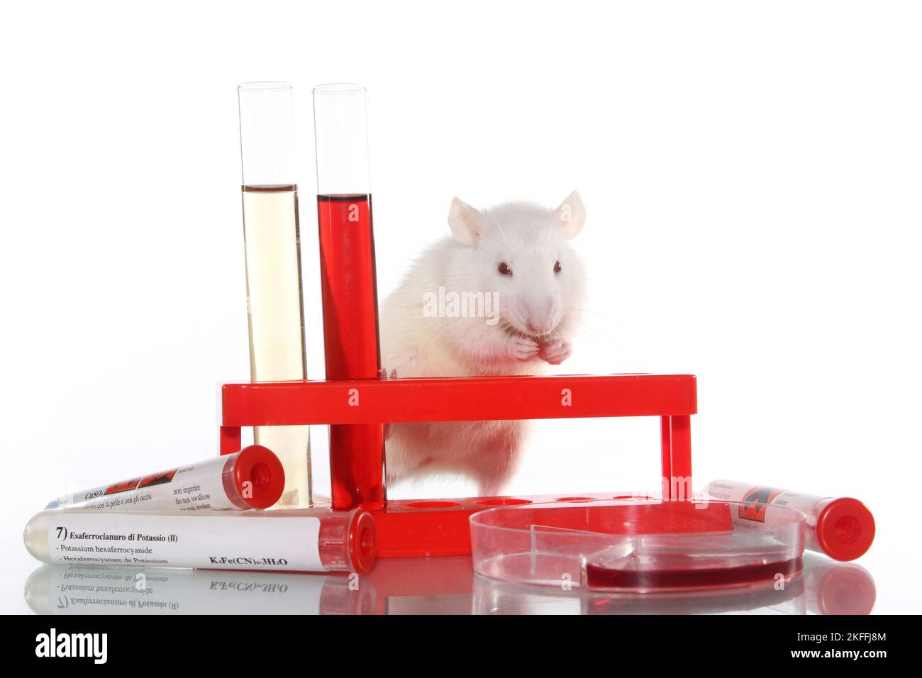 Bg labor hi-res stock photography and images - Alamy