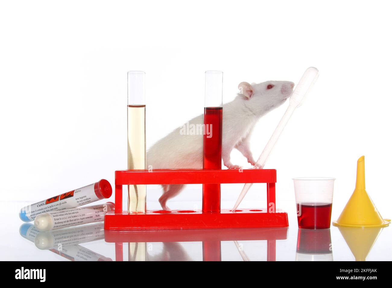 Experimentation animals hi-res stock photography and images - Alamy