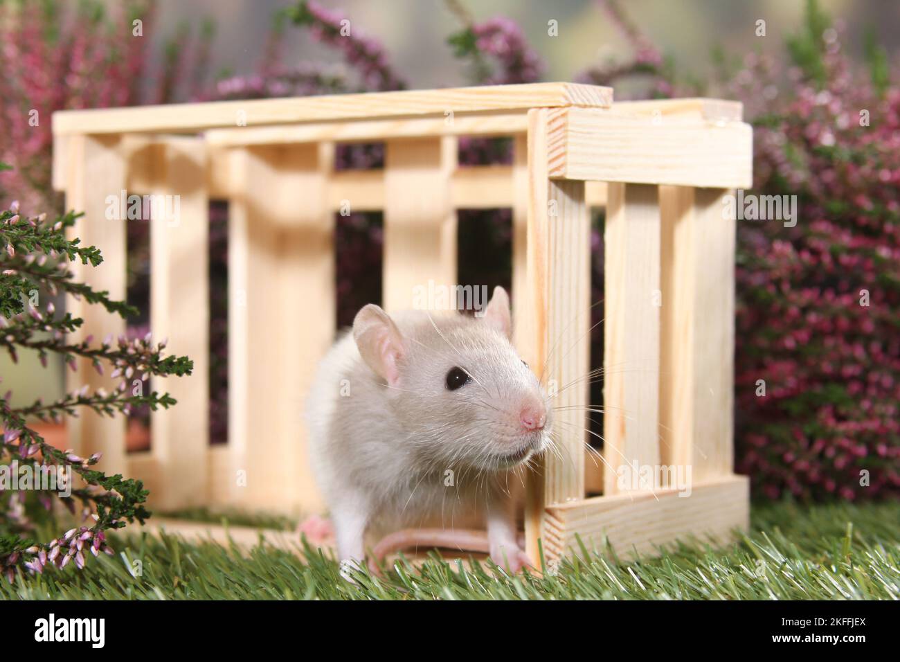 Beige crates hi-res stock photography and images - Alamy