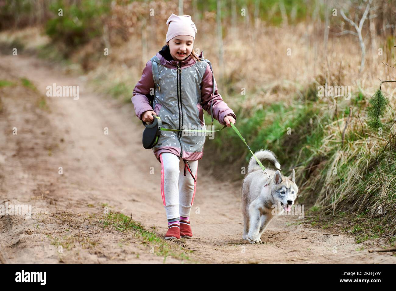 Girl walking on leash Siberian Husky puppy on country road at forest ...