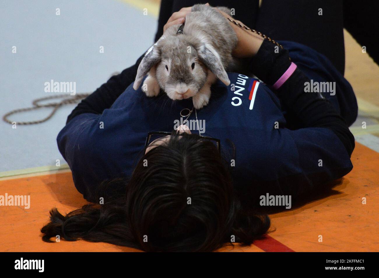 European rabbit hop championships 2022 hi-res stock photography and ...