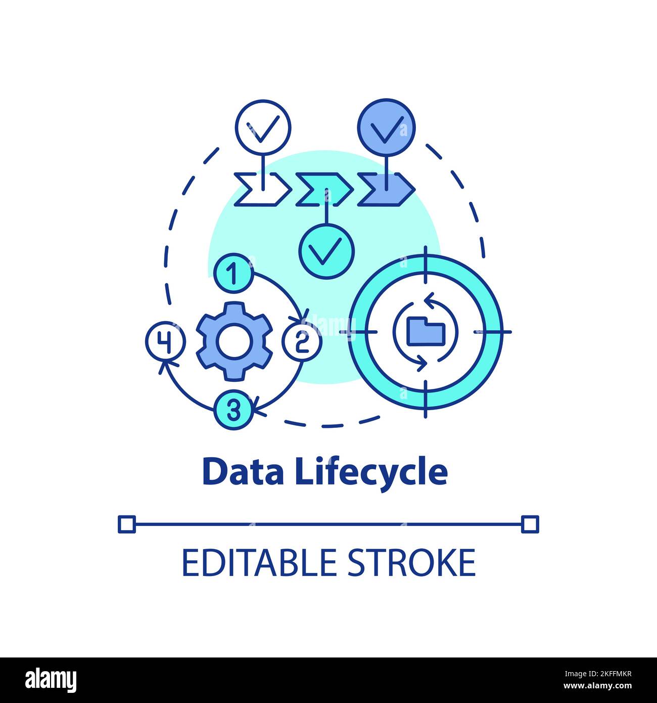 Lifecycle phases hi-res stock photography and images - Alamy