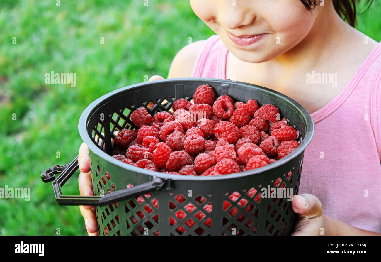 child holding raspberries in his hands.selective focus.food Stock Photo ...
