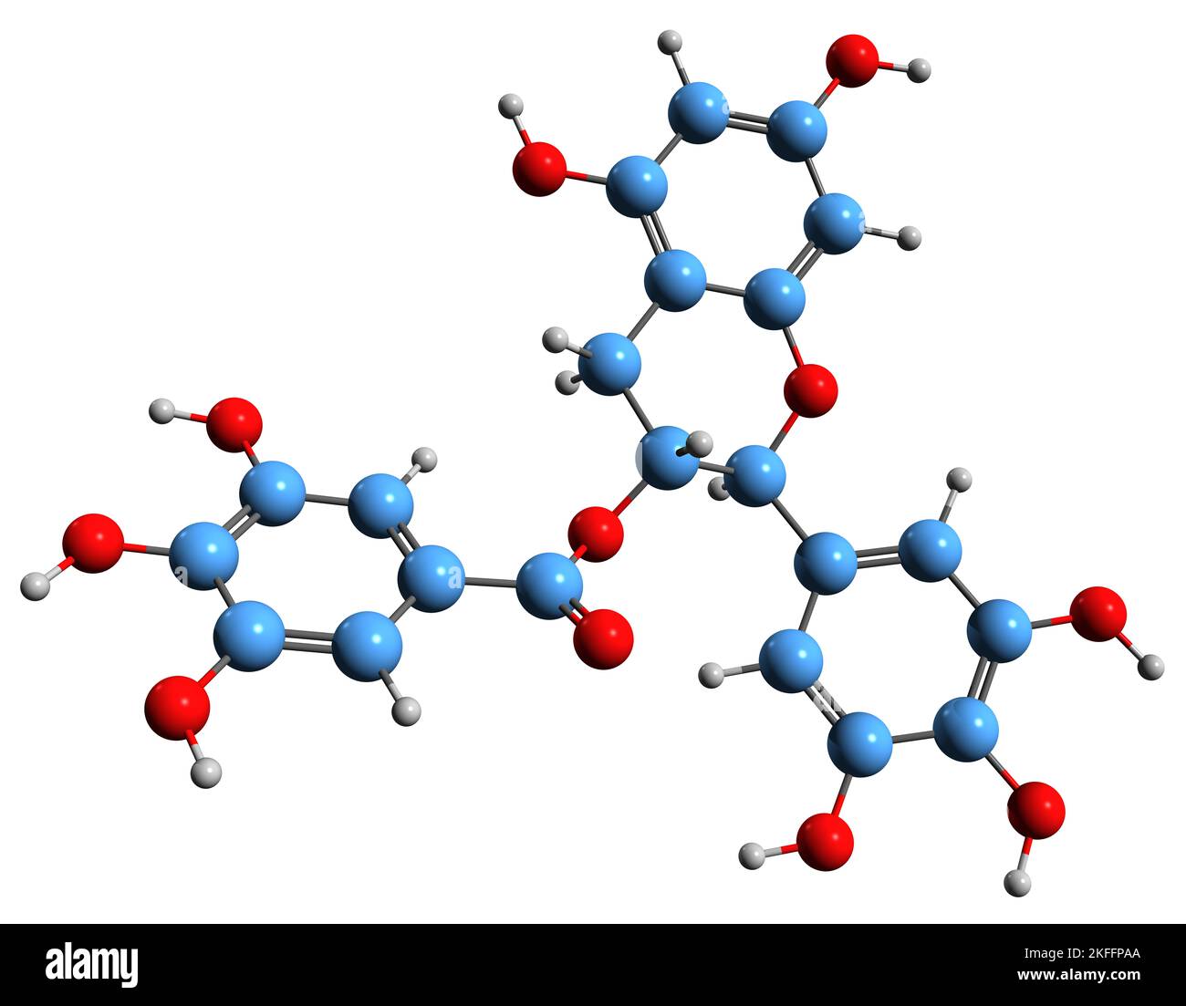 Gallocatechin gallate hi-res stock photography and images - Alamy