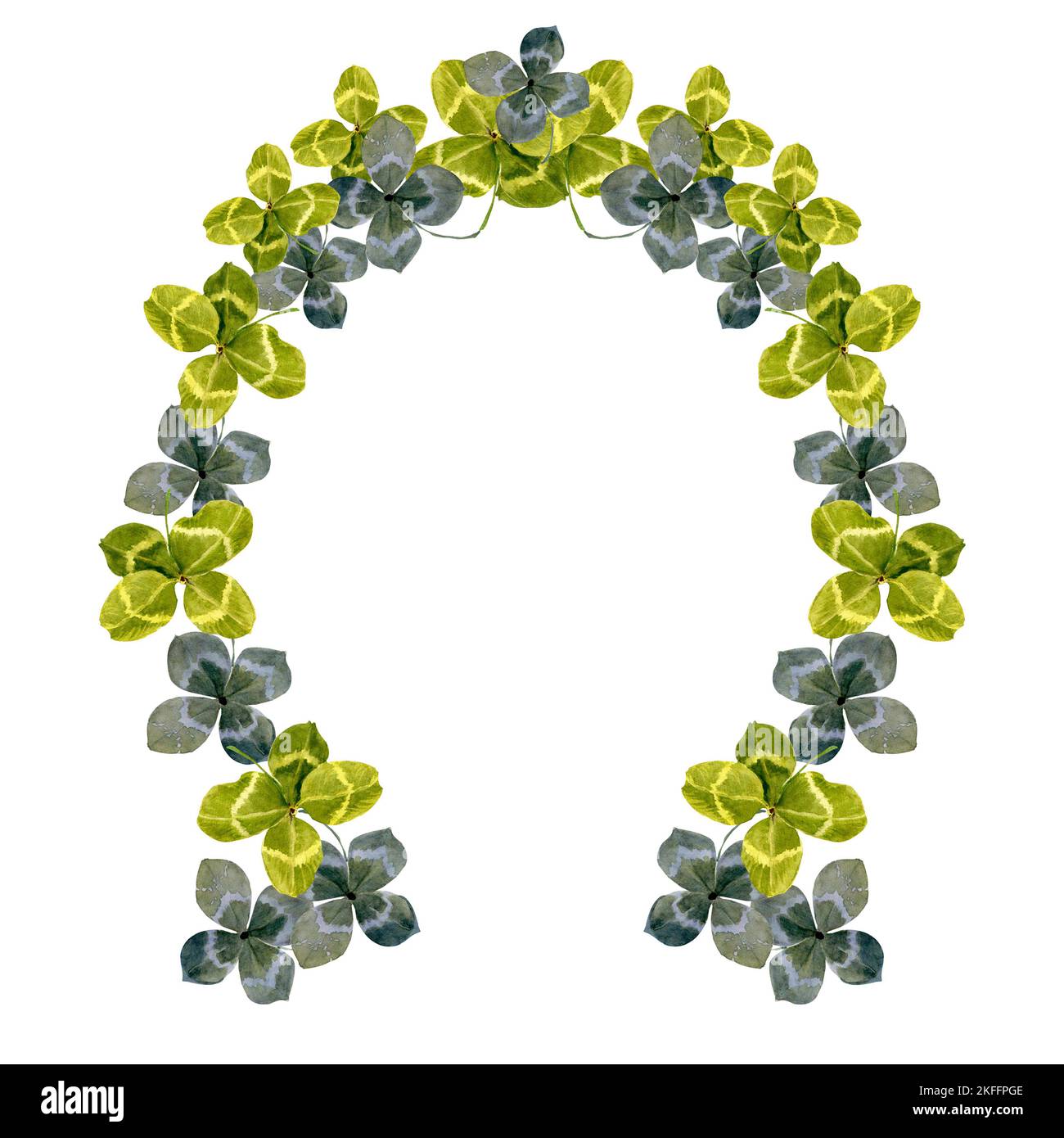 clover frame with horseshoe, watercolor painting on a white background ...