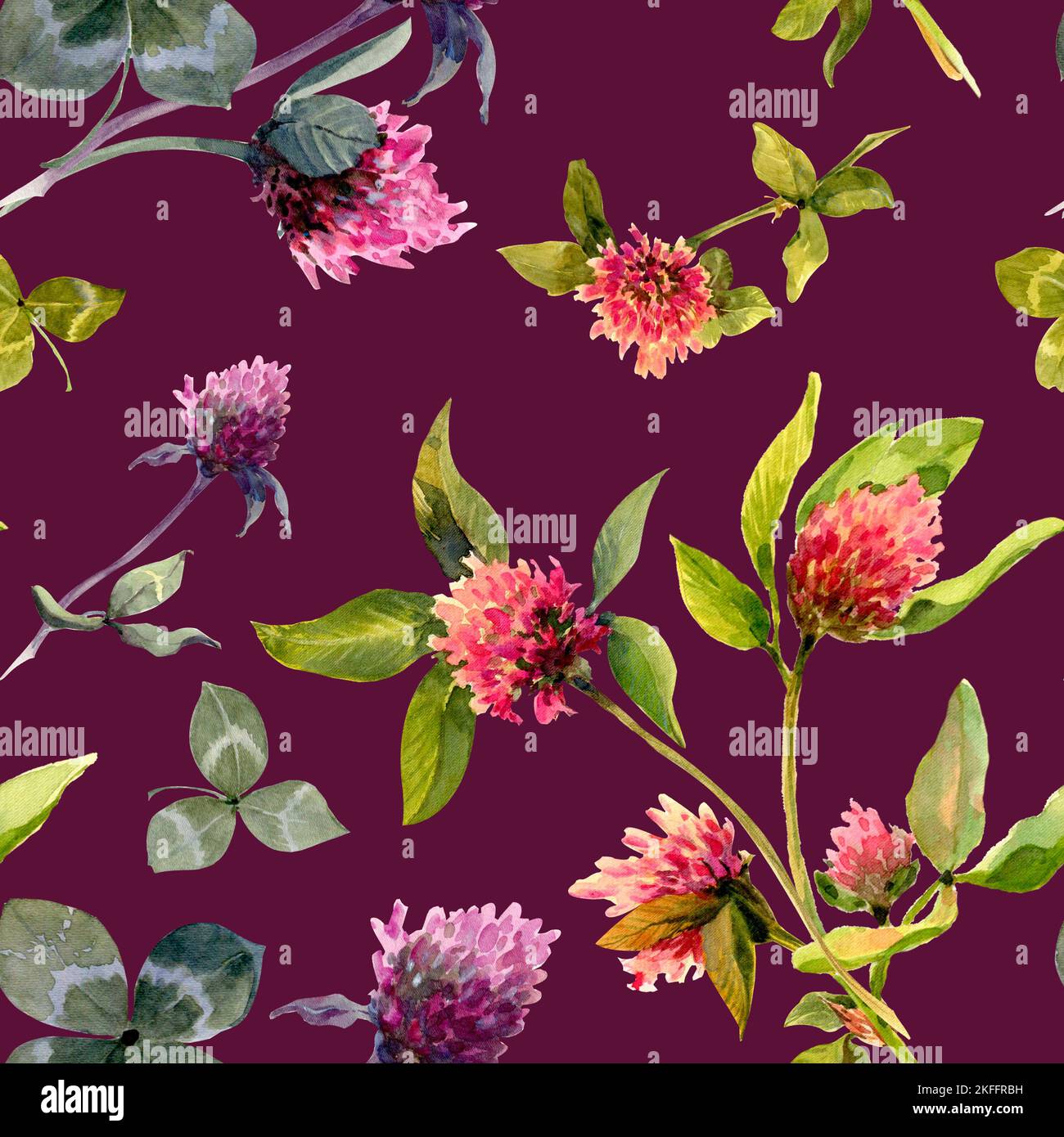 Seamless vivid floral watercolor pattern. Red, pink clover flowers on a ...