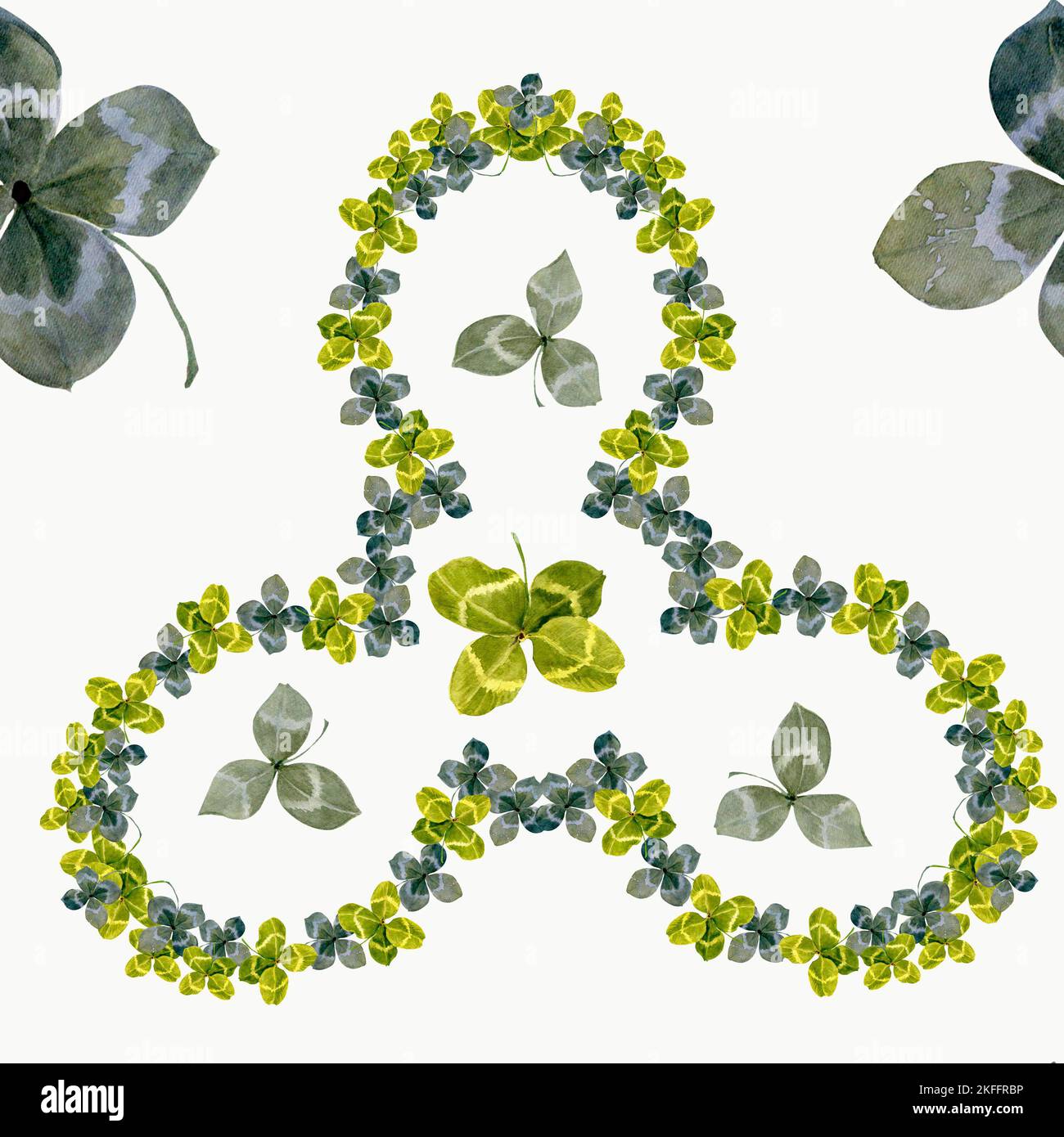 Watercolor seamless pattern, clover leaves on white background. Hand ...