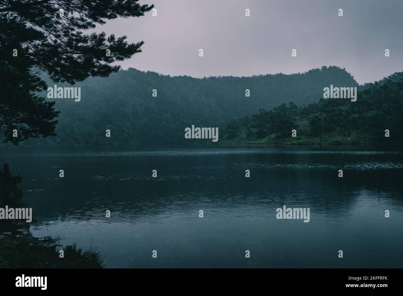 A cold summer morning in the Norwegian forest by the lake, reflection ...