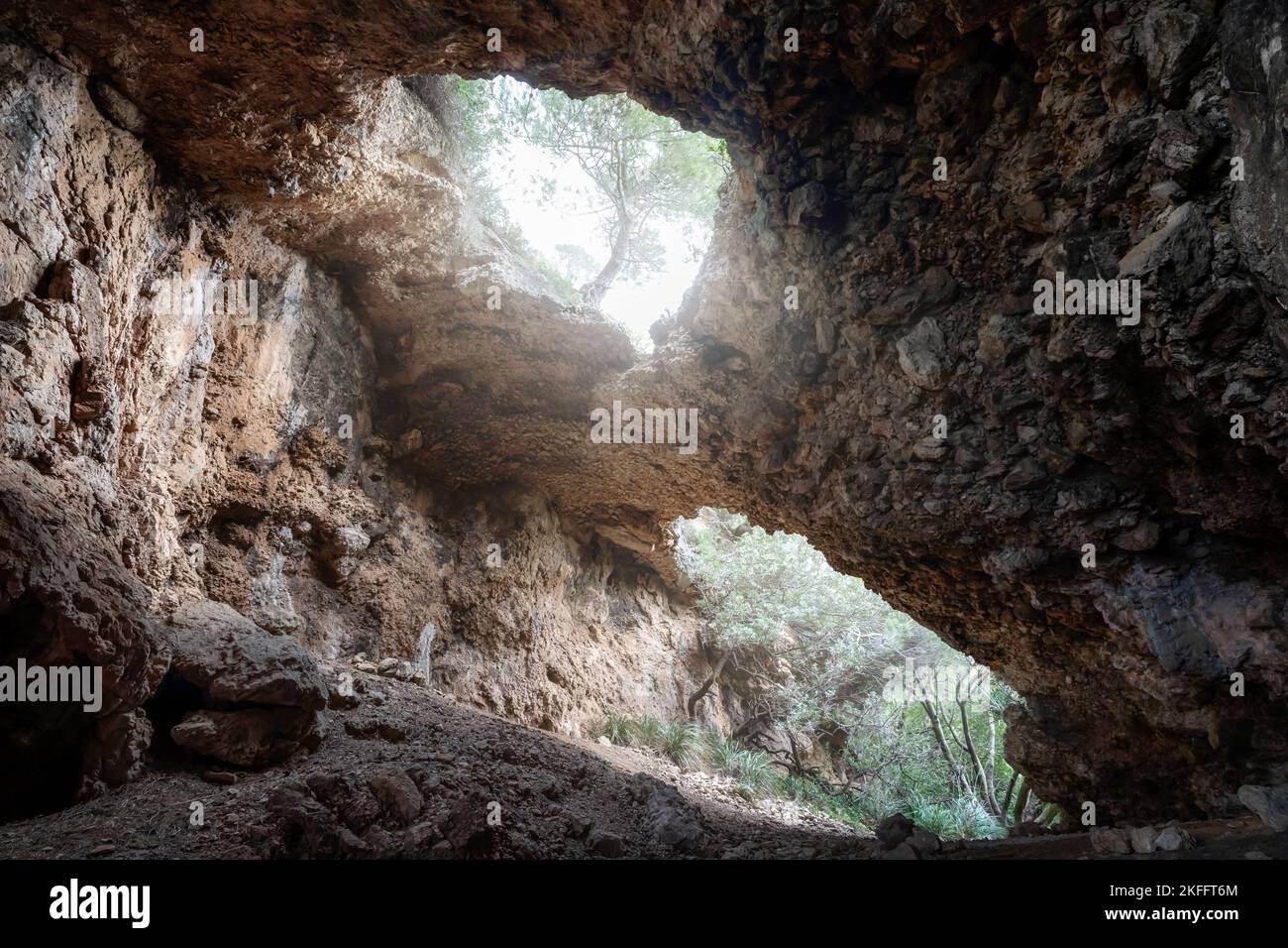 Cave of rocks on the path in the pine forest Stock Photo - Alamy