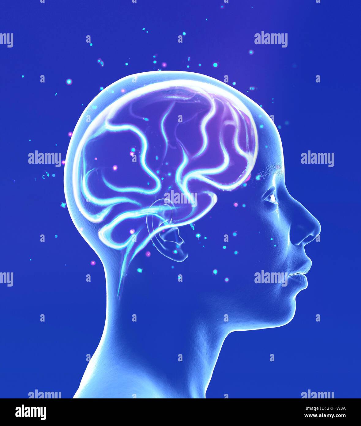 Neuron schema hi-res stock photography and images - Alamy