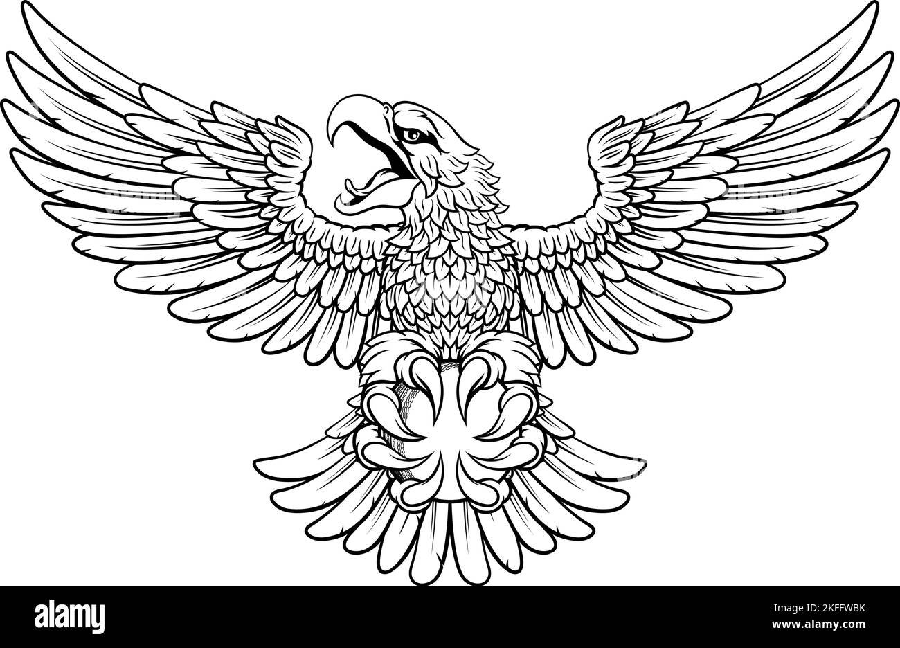 Criket wing hi-res stock photography and images - Alamy