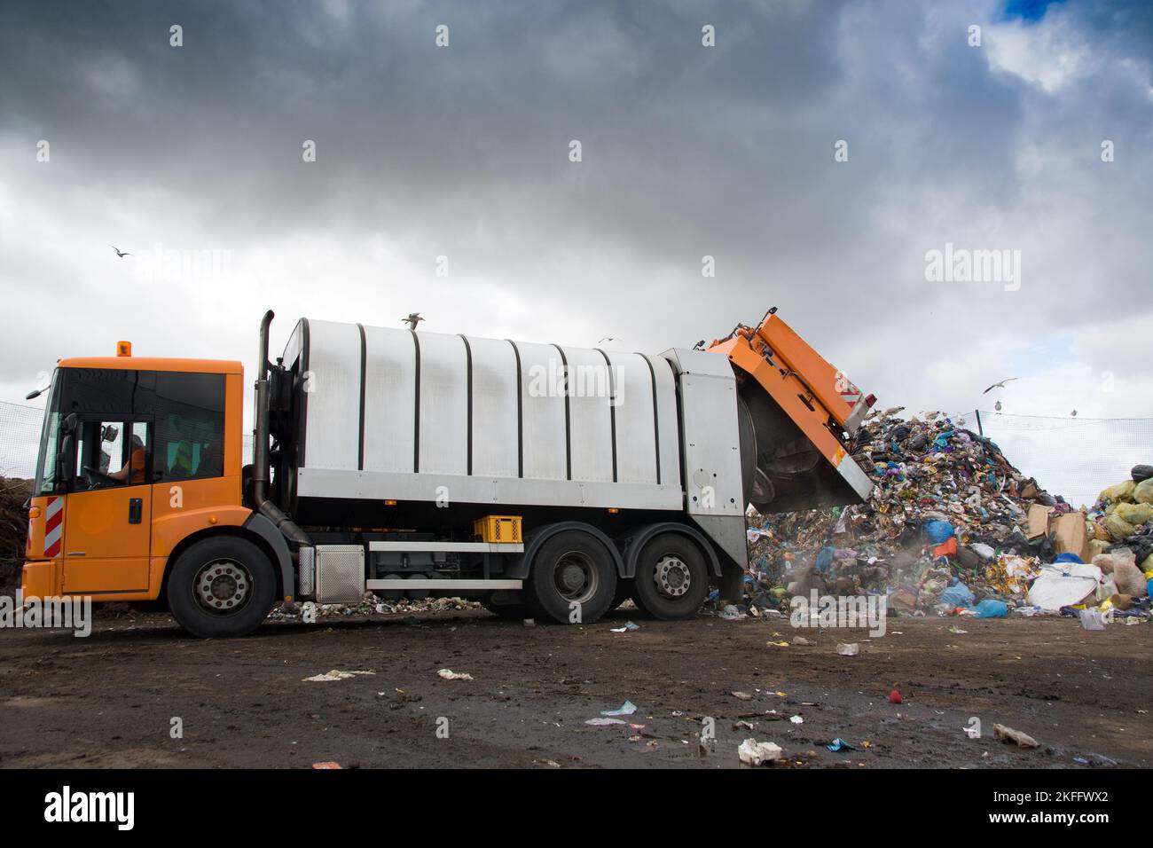 landfill pollutes the environment. garbage truck. birds fly over ...