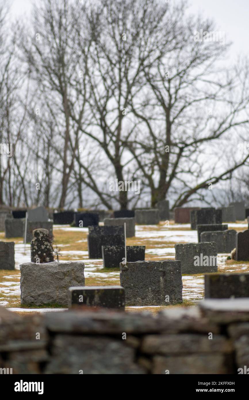 A vertical high-angle of a cemetery with deciduous tree gloomy sky ...