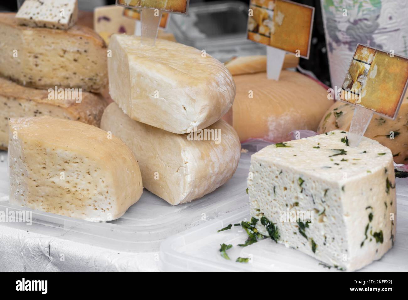 Cheese counter with a variety of delicious cheeses on a food festival ...