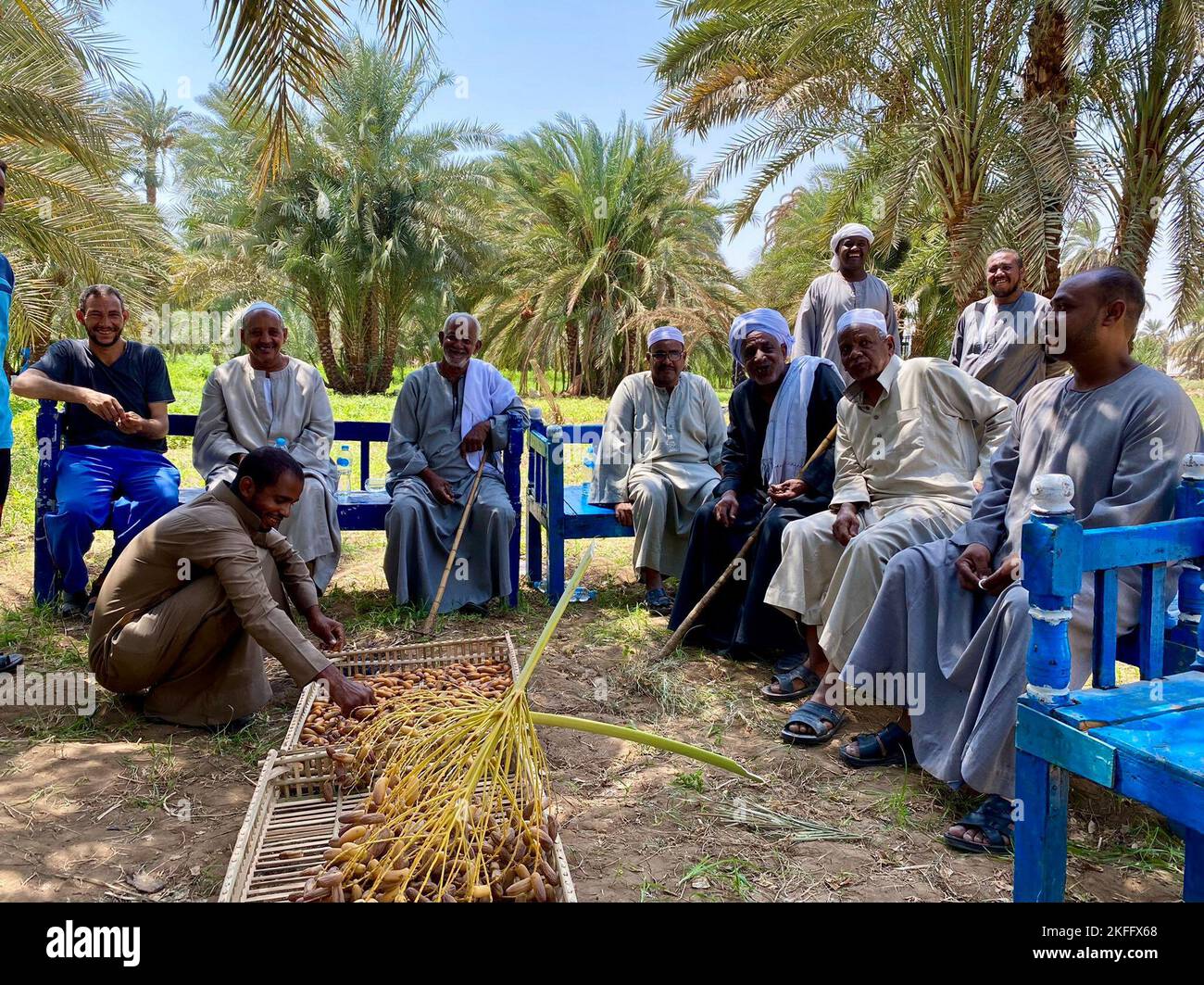 Egypt has been cultivating dates for over 8,000 years! As one of the ...