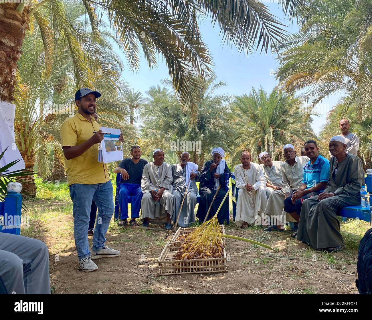 Egypt has been cultivating dates for over 8,000 years! As one of the ...