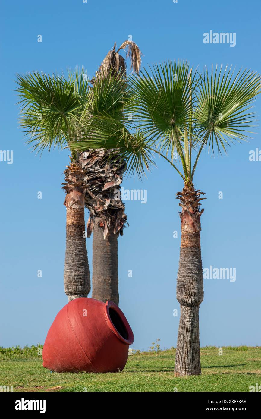 Palm trees and red decor vase on a beach in Ayia Napa, Cyprus, exotic ...