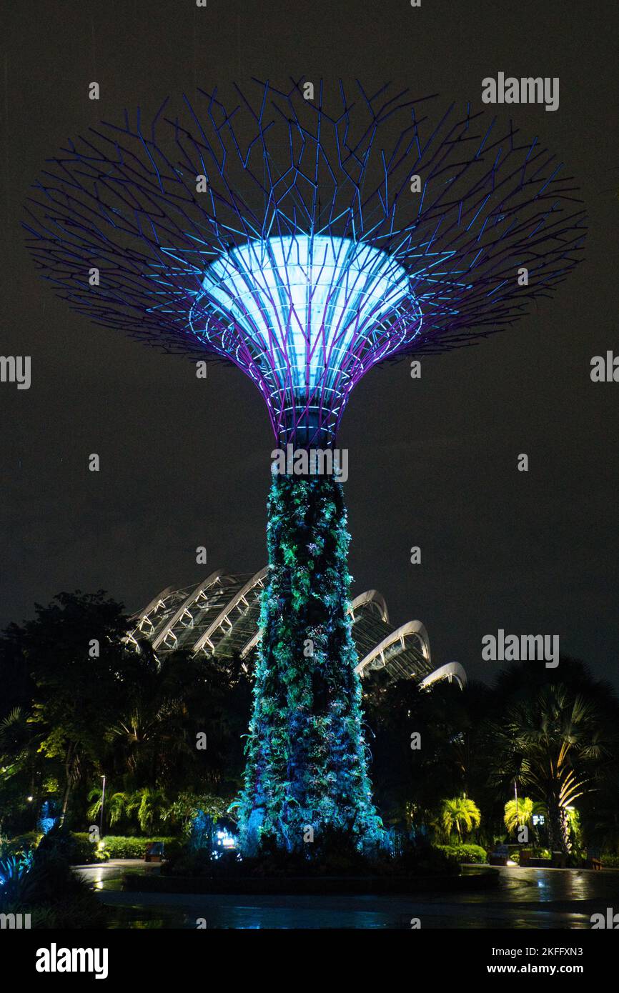 A vertical shot of the illuminated Supertree Grove at night in ...