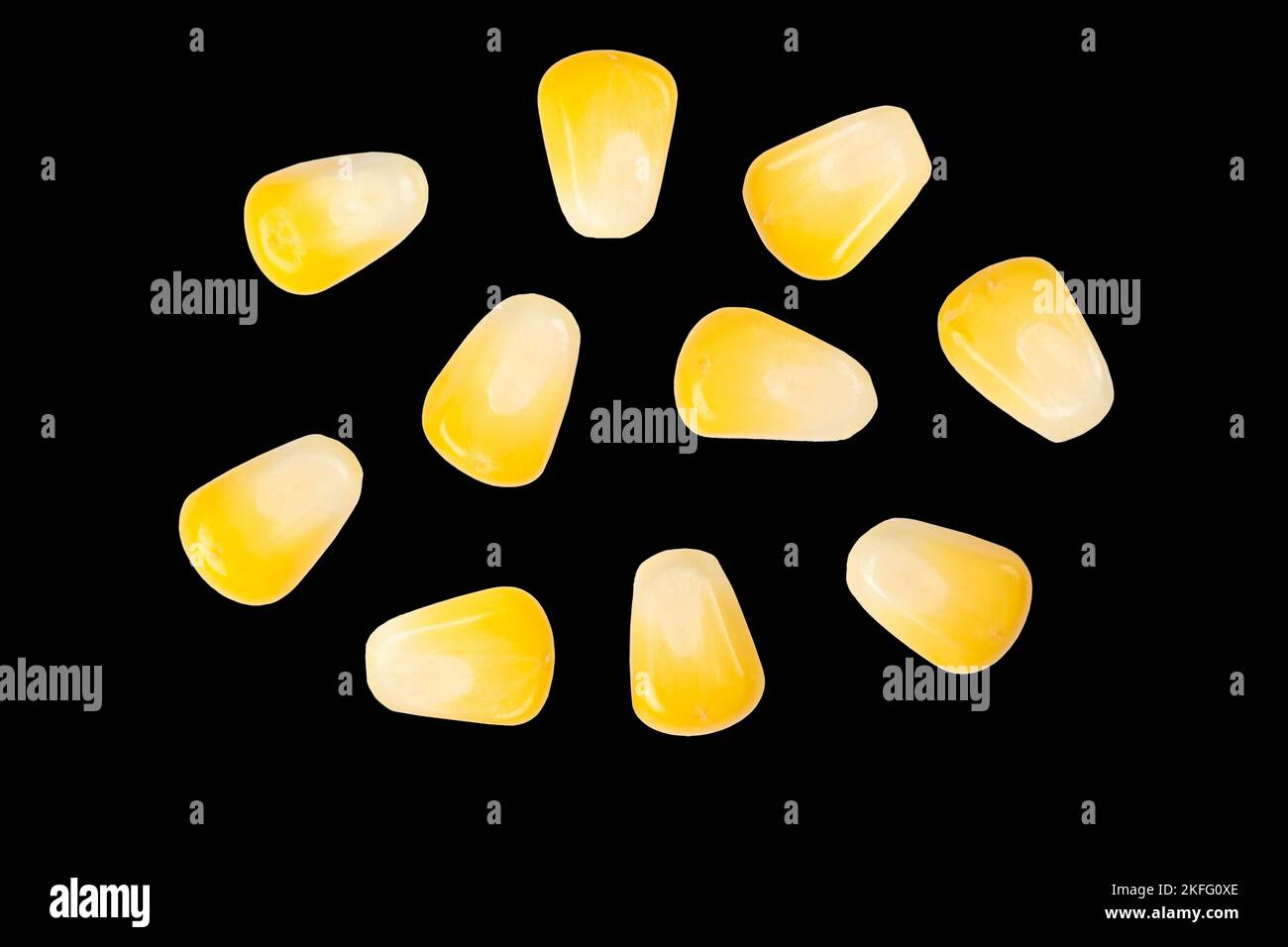Macro shot sweet corn seed isolated on black background. Sweet corn ...