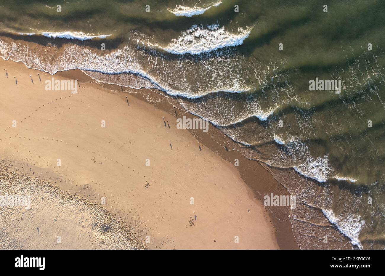 Aerial view of sea waves and gulls wandering along Tenby South Beach at ...