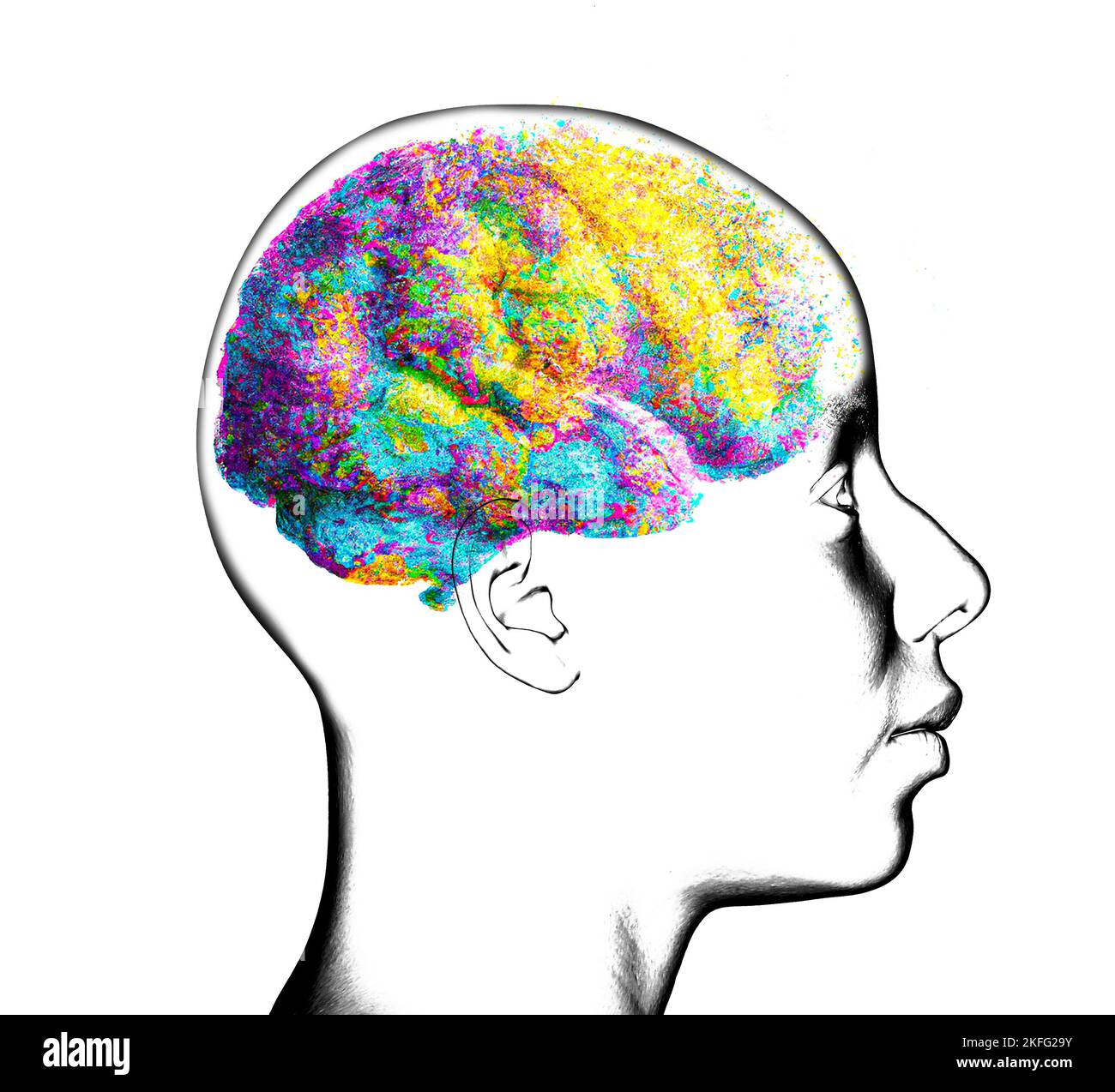 Neurology, philosophy: connections, the development of thought and ...