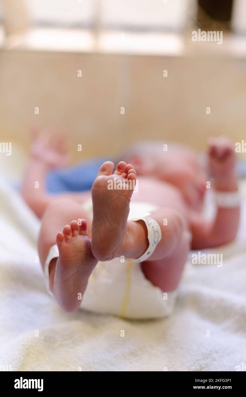 A newborn baby in hospital being cleaned up by a doctor after birth ...
