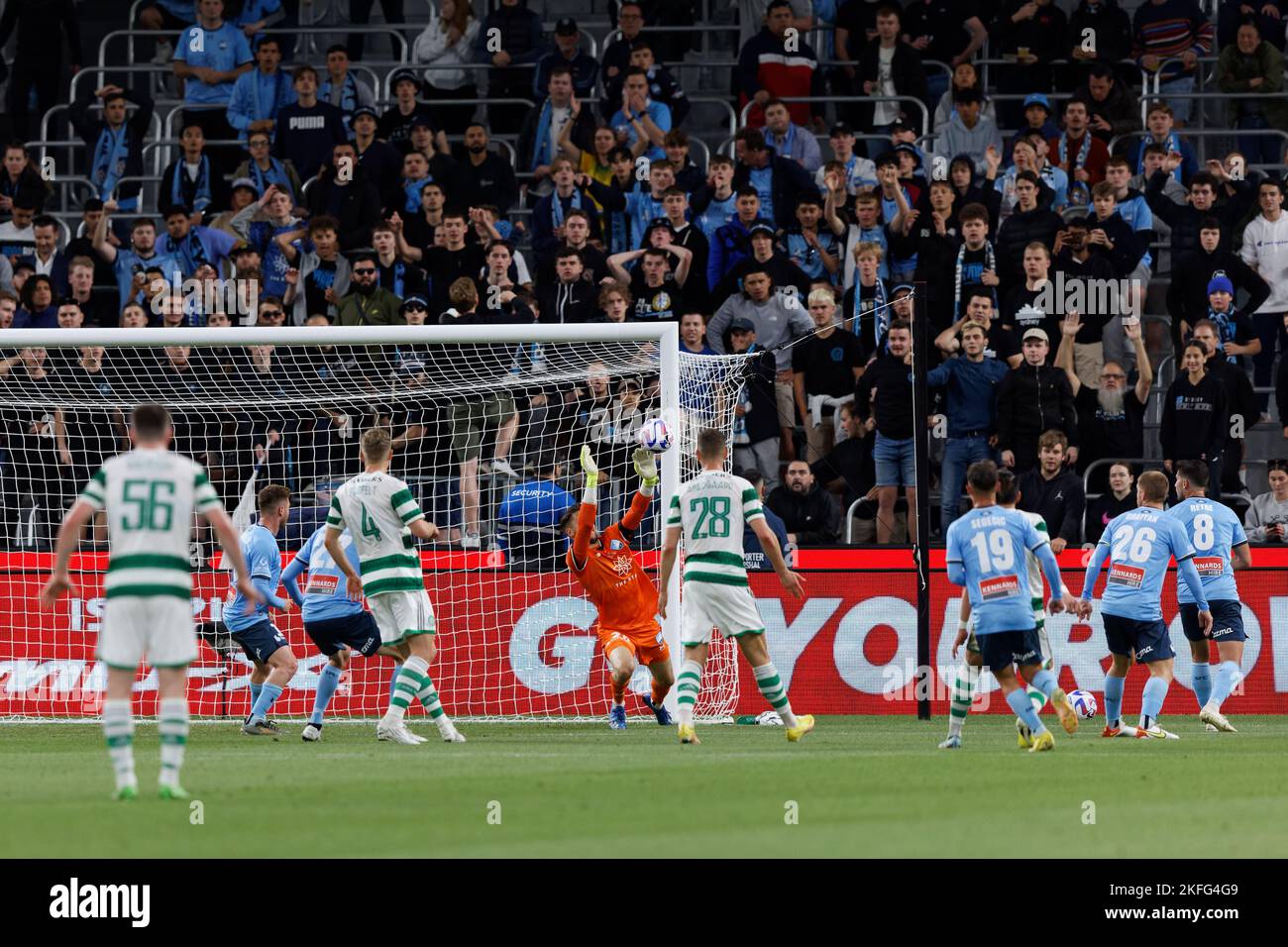 SYDNEY, AUSTRALIA - NOVEMBER 17: Thomas Heward-Belle of Sydney FC ...