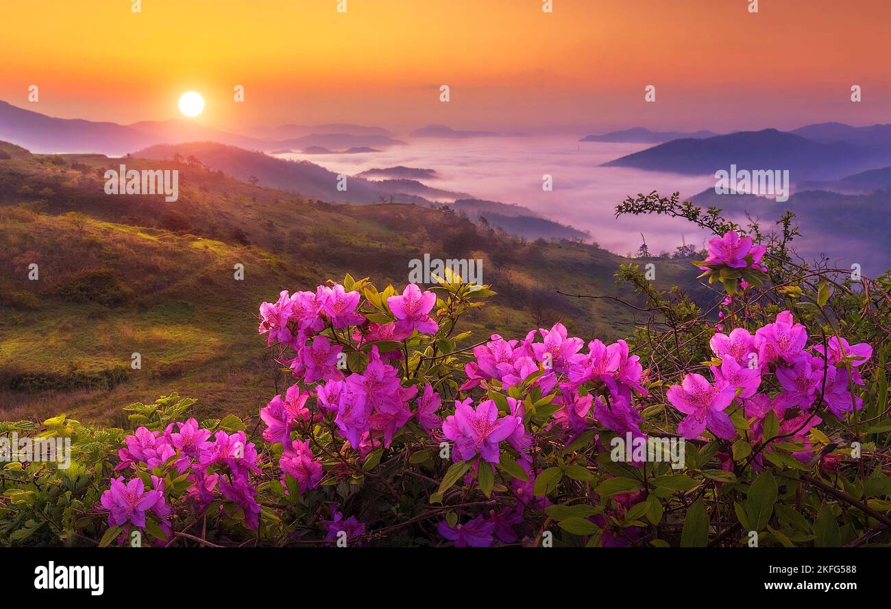 Sunrise on a mountain hi-res stock photography and images - Alamy