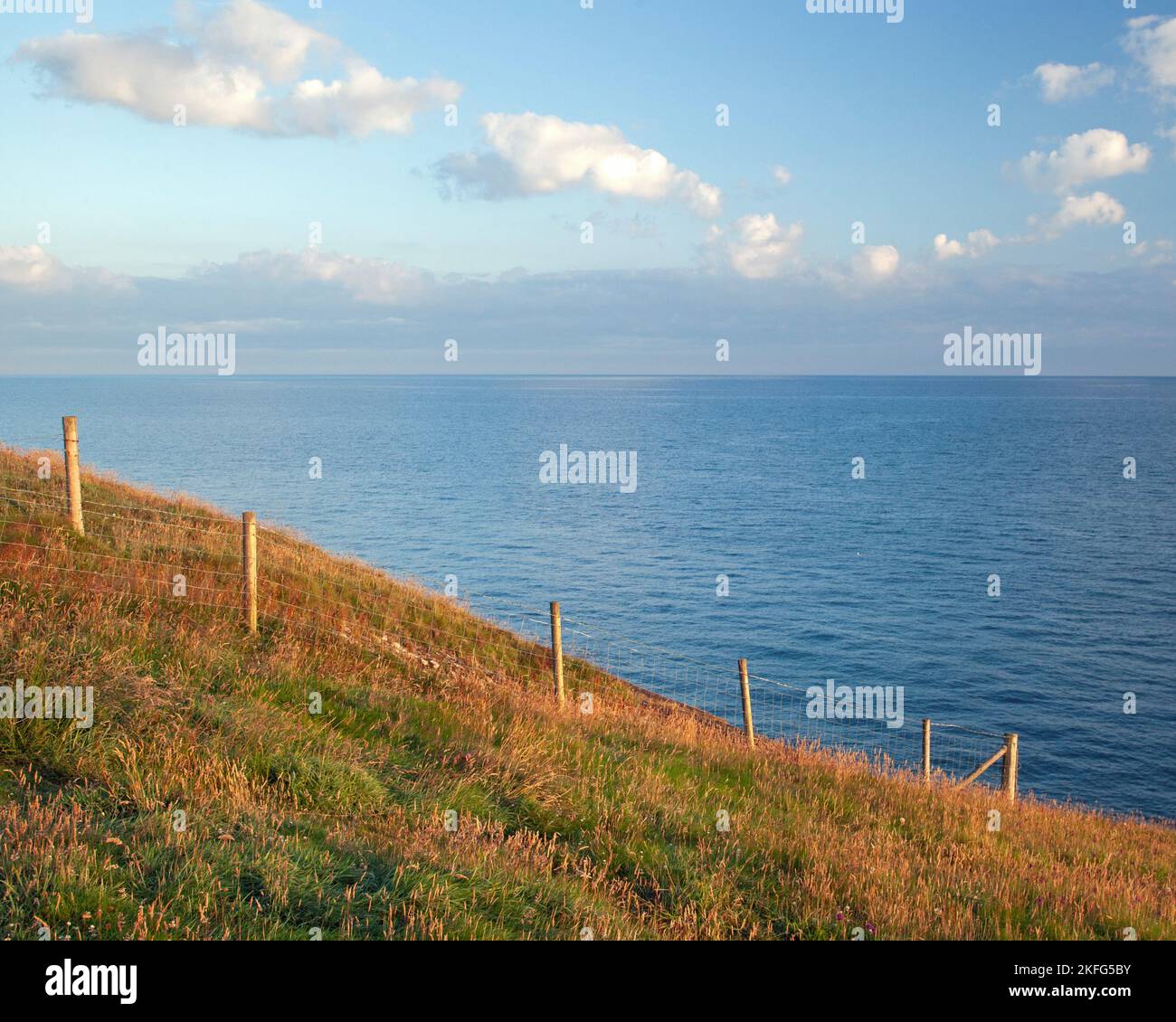 Coastal Path Mwnt Cardigan Bay Ceridigion Stock Photo - Alamy