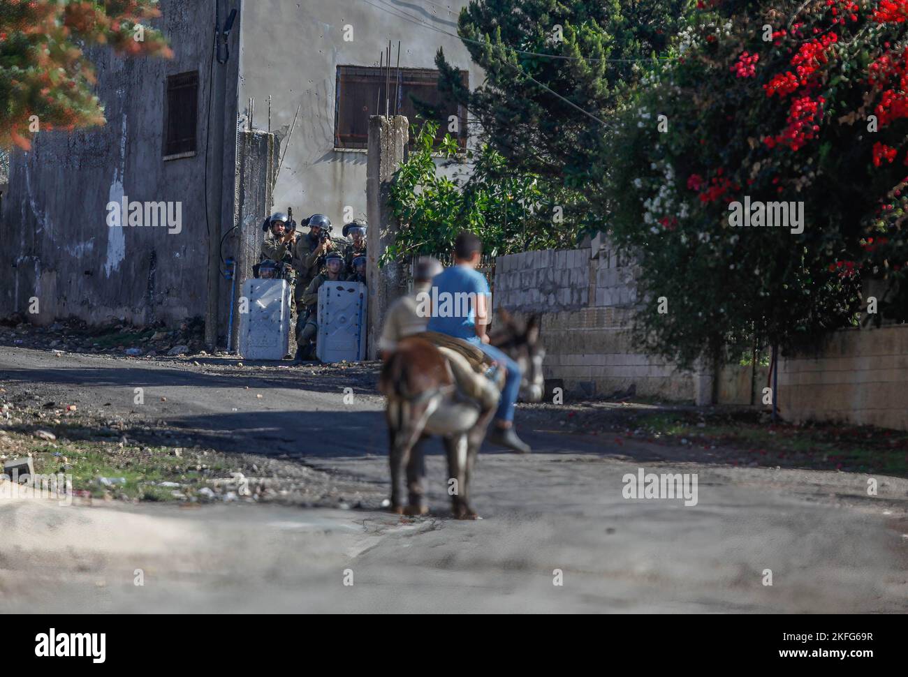 Nablus, Palestine. 18th Nov, 2022. Palestinians, one riding a donkey ...
