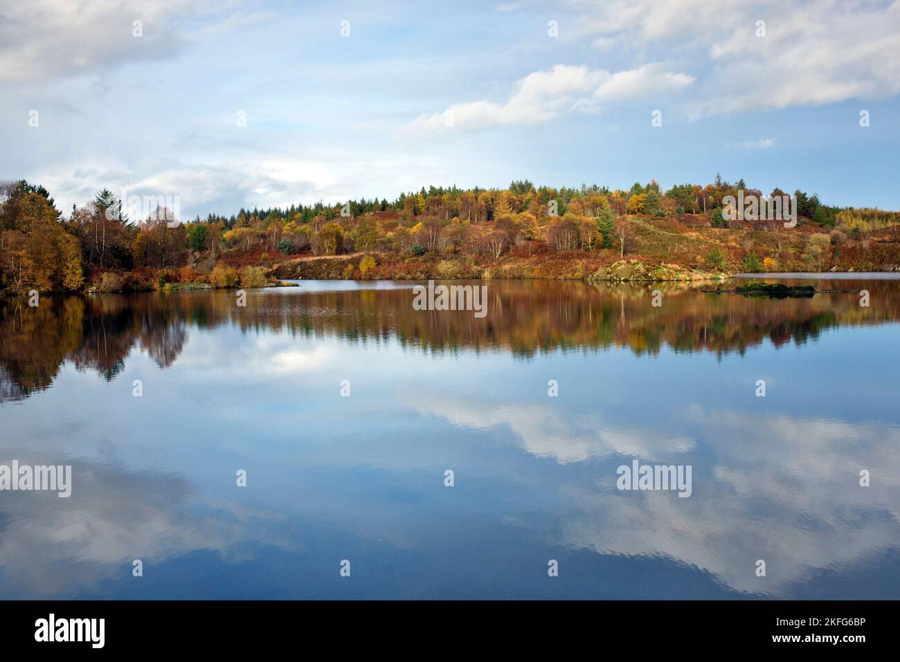Photograph of Llyn Elsi in autumn and surrounding forest in Snowdonia ...