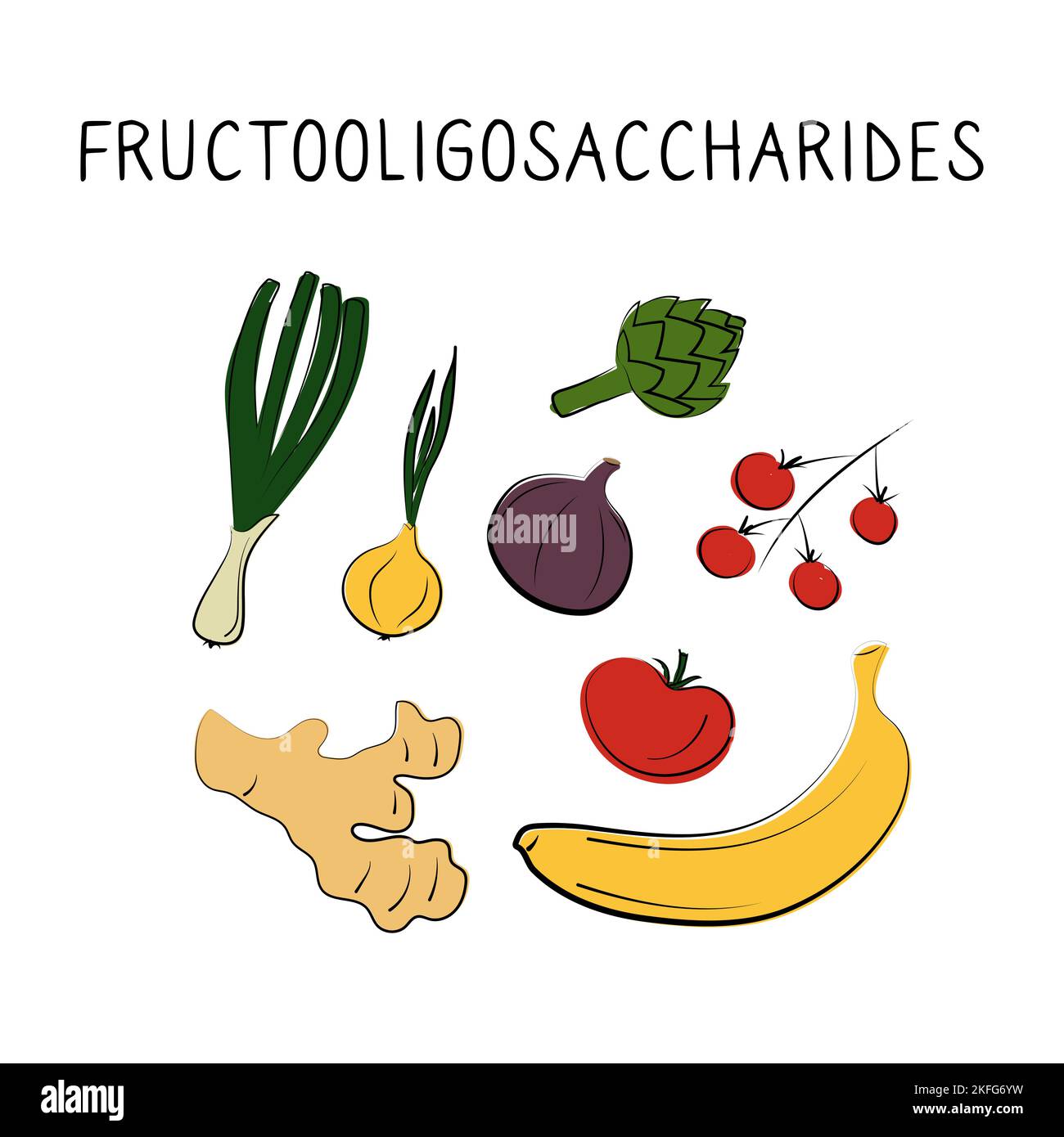 Fructooligosaccharides-containing food. Groups of healthy products ...