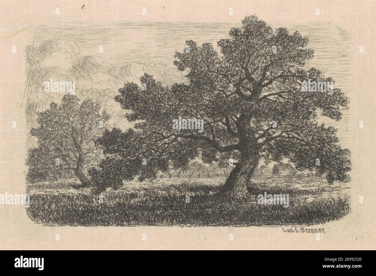 Apple Trees, 1870s-1880s Stock Photo - Alamy