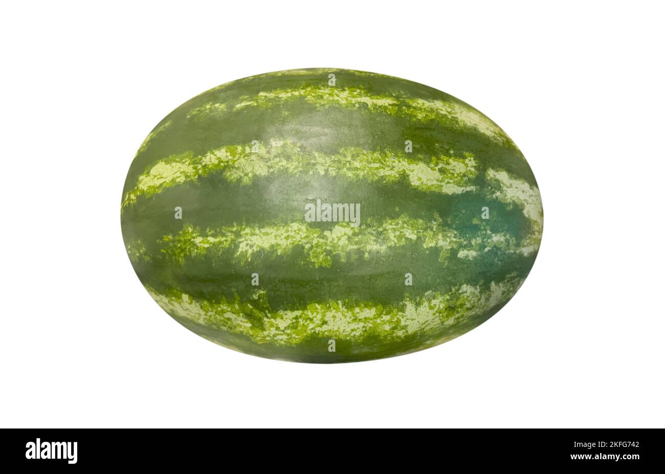 Fresh watermelon design hi-res stock photography and images - Alamy