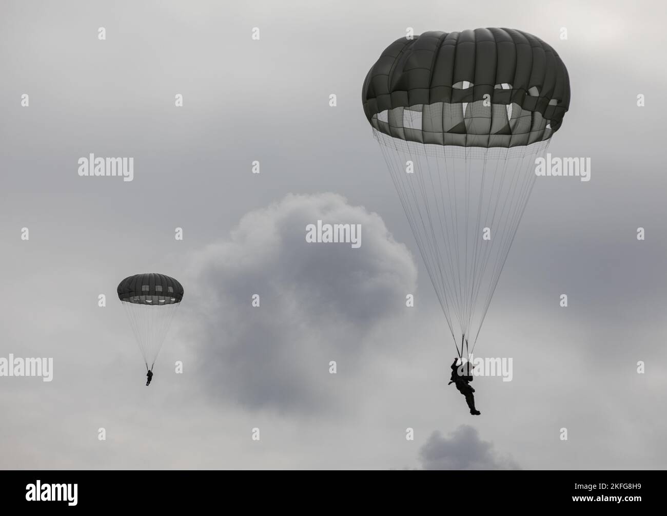 Two Czech Paratroopers conduct an Airborne jump out of a C-130 aircraft ...