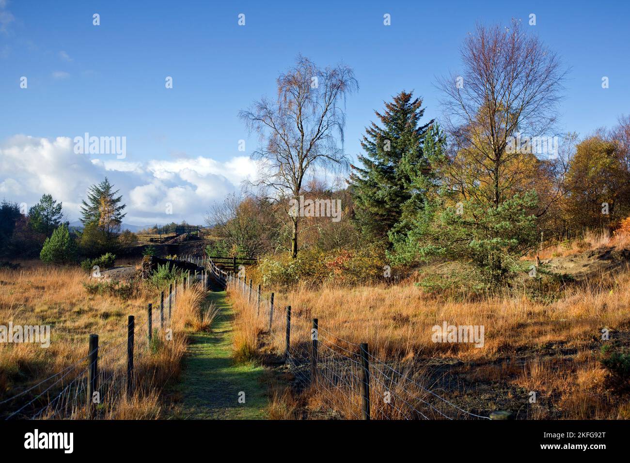 Nature reclaiming former Cyffty mine at Betwys Y Coed in autumn ...