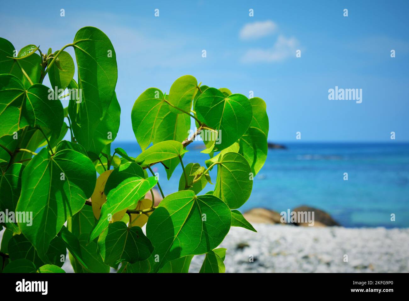 When green meets Blue, a scenery that takes place at Pigeon islands ...