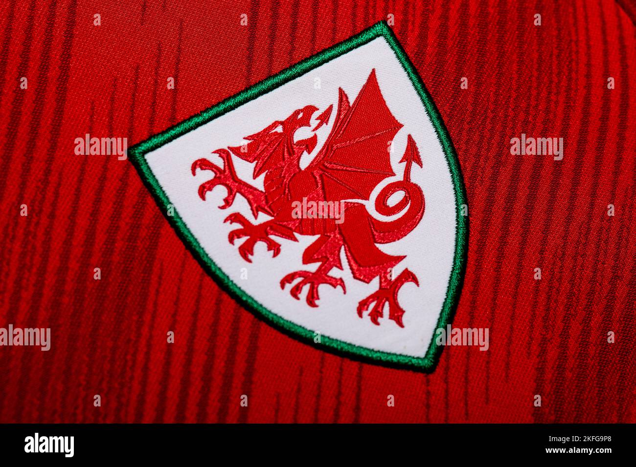 Wales National Football Team Logo