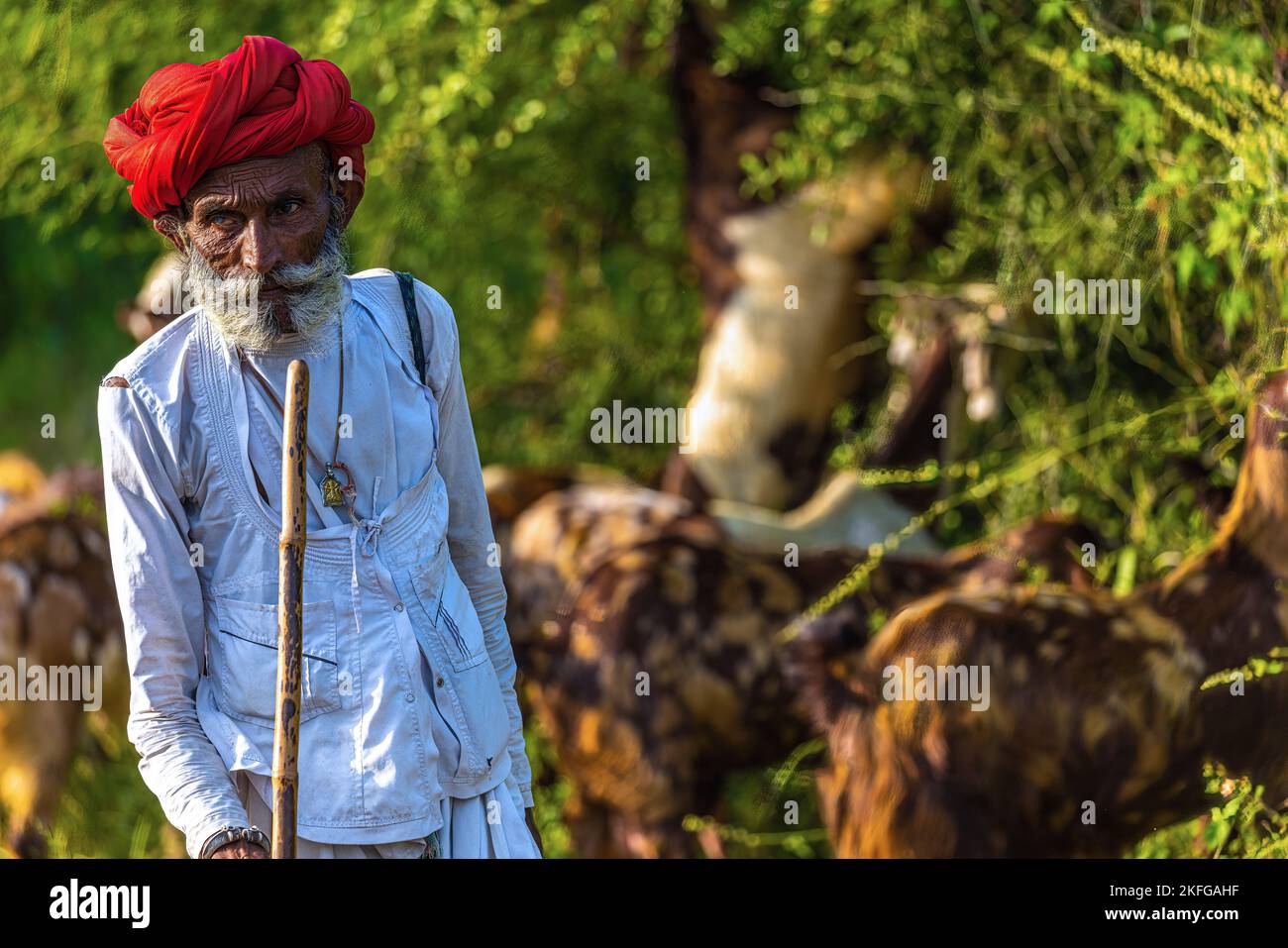 A senior man with a well-groomed beard and traditional jewelry Stock ...