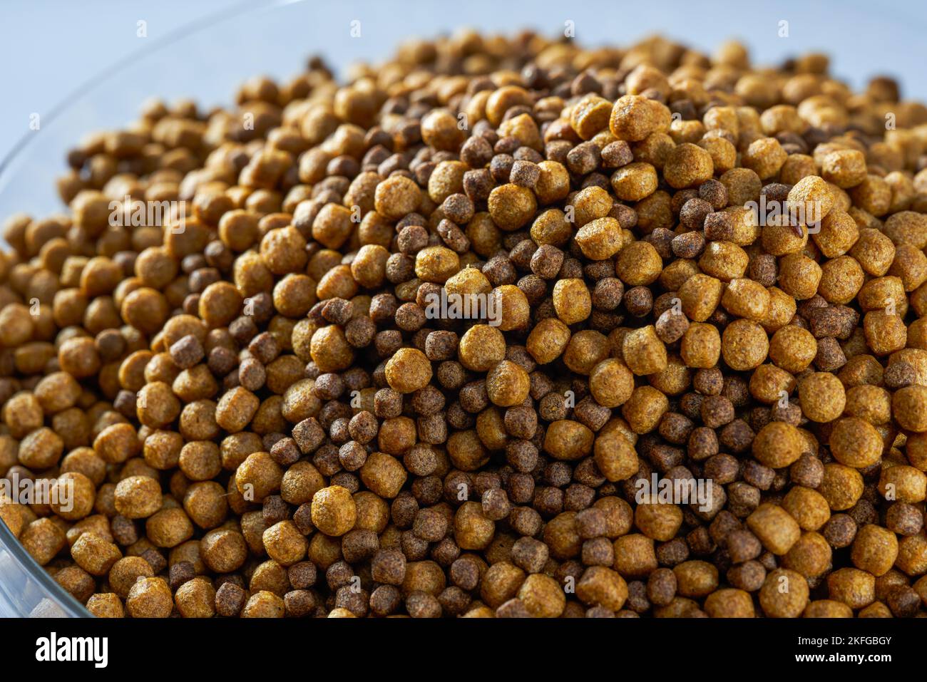 Closeup of a pile of fresh fish feed pellets Stock Photo - Alamy