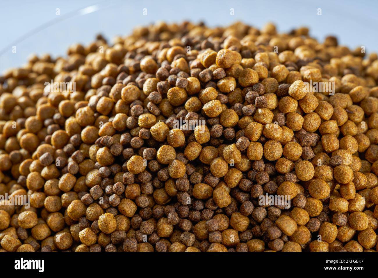 Closeup of a pile of fresh fish feed pellets Stock Photo - Alamy