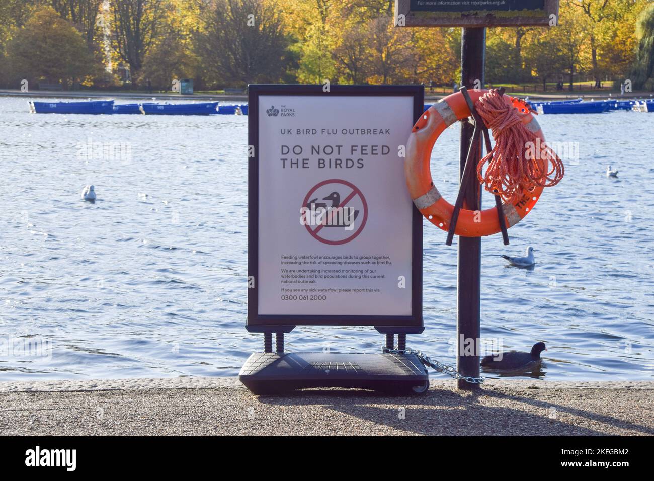 London, UK. 18th November 2022. 'Do not feed the birds’ sign warns of a ...