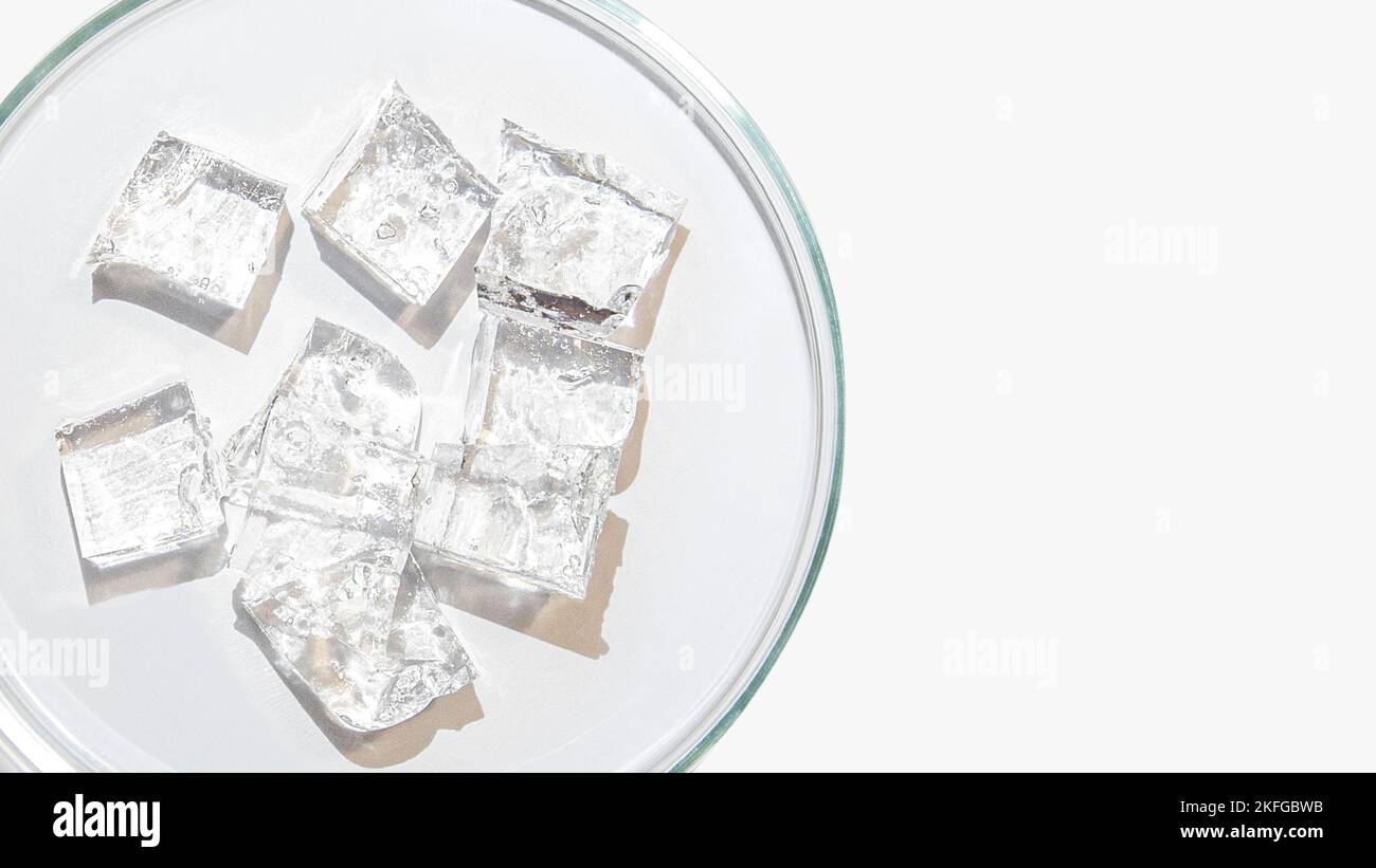 A top view of transparent frozen gel cubes on petri dish on white ...