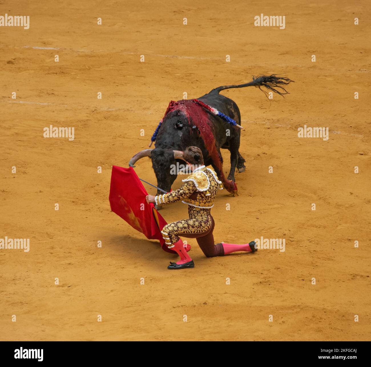 The traditional Spanish Bullfight, basque country, Spain Stock Photo ...