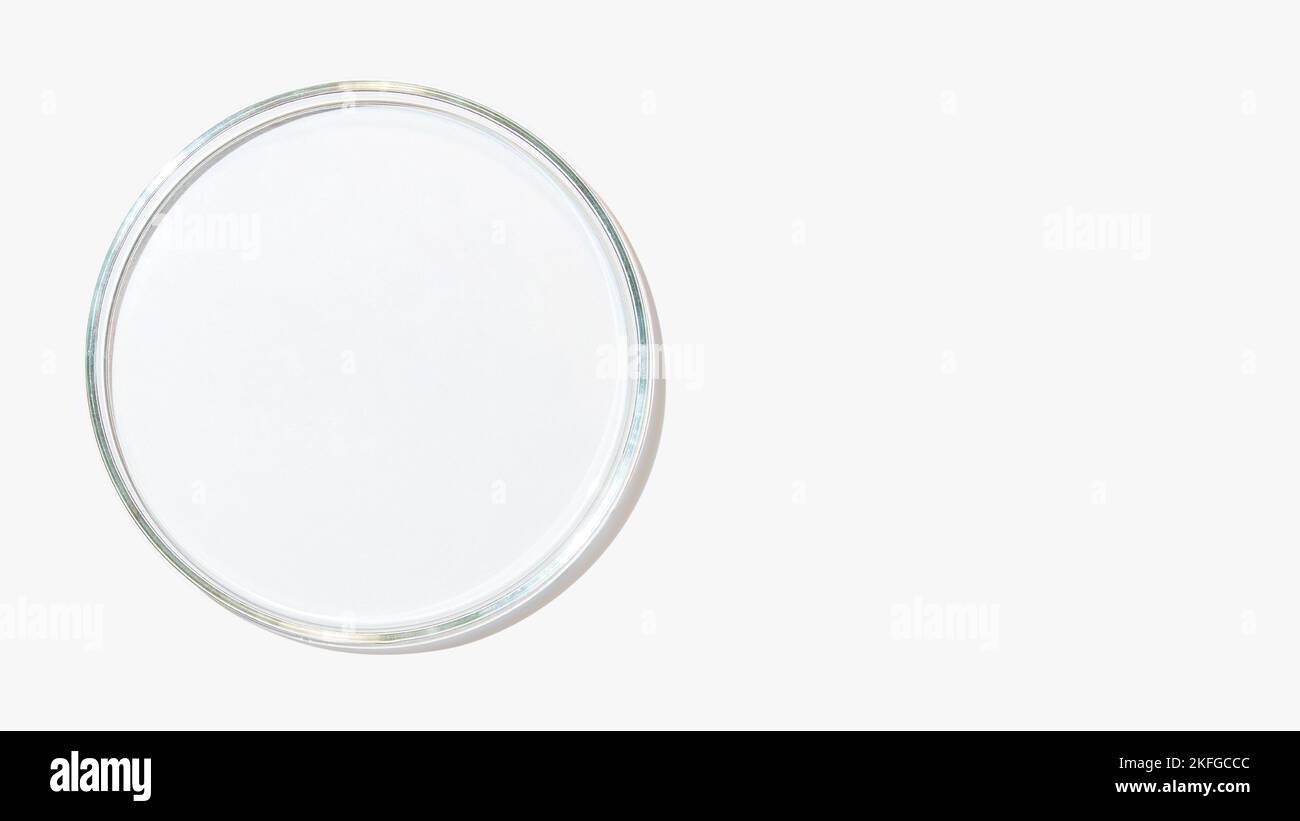 A top view of an empty petri dish on a white background Stock Photo - Alamy