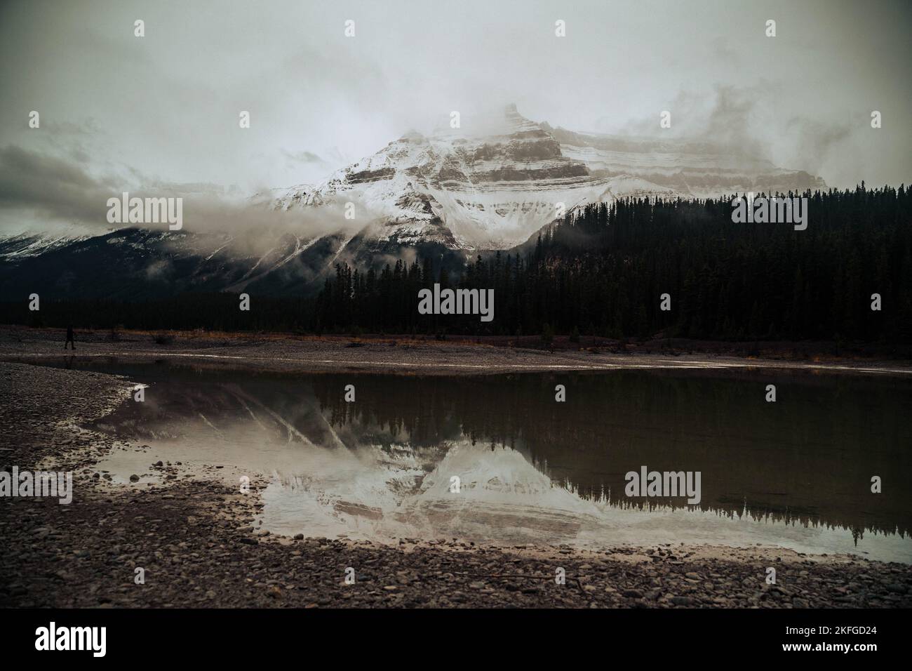 A scenic shot of snowy mountains and forest spruces in front of the ...